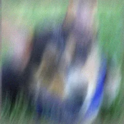 Parallel Diffusion Model of Operator and Image for Blind Inverse Problems